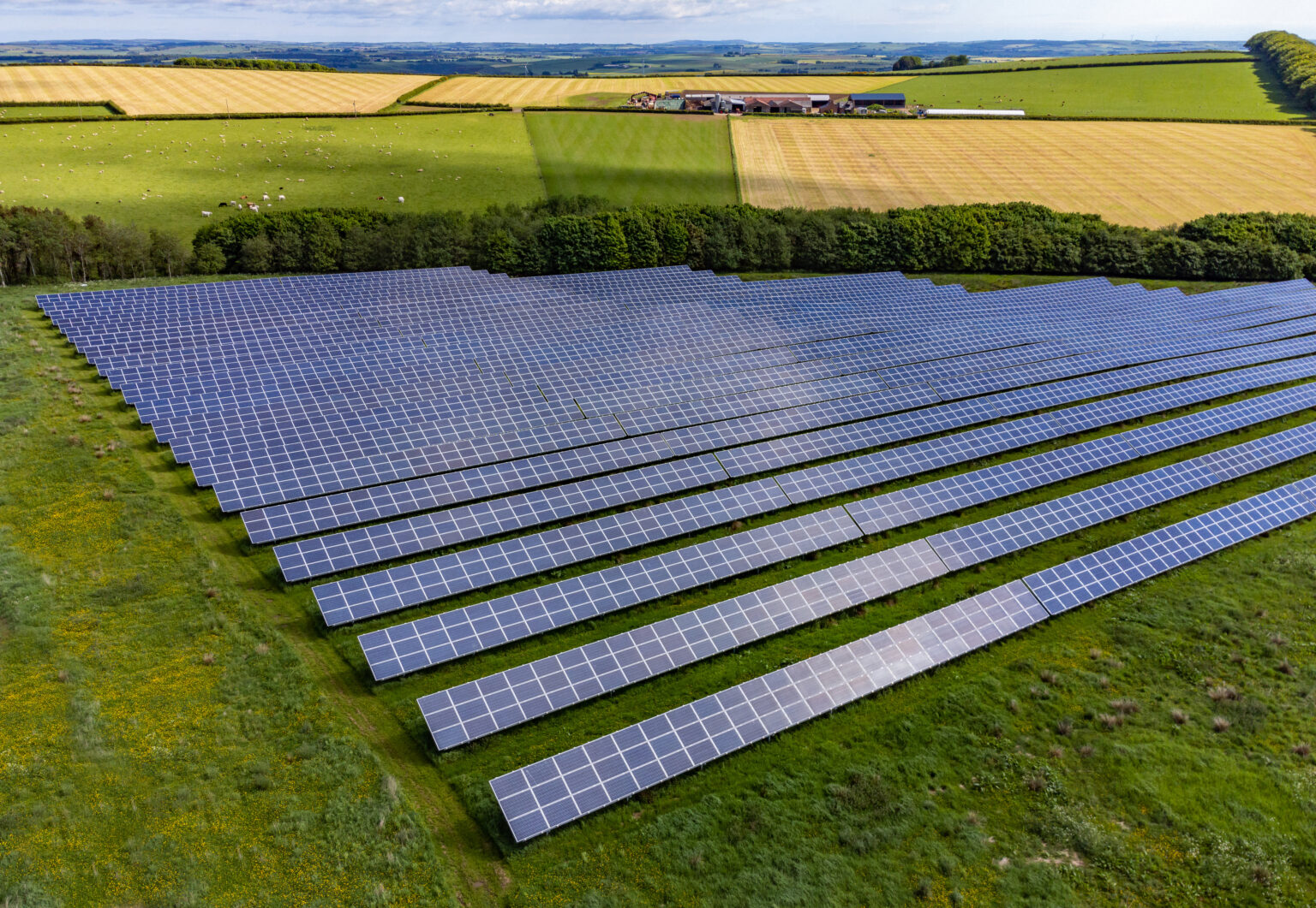 A Windy Year With A Sustainable Success - Mackie’s of Scotland